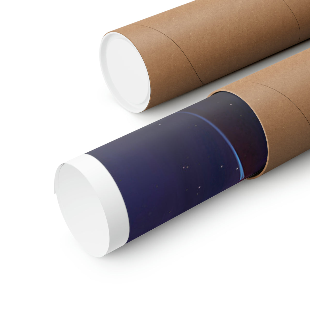 Female Shepard – Print Zenny