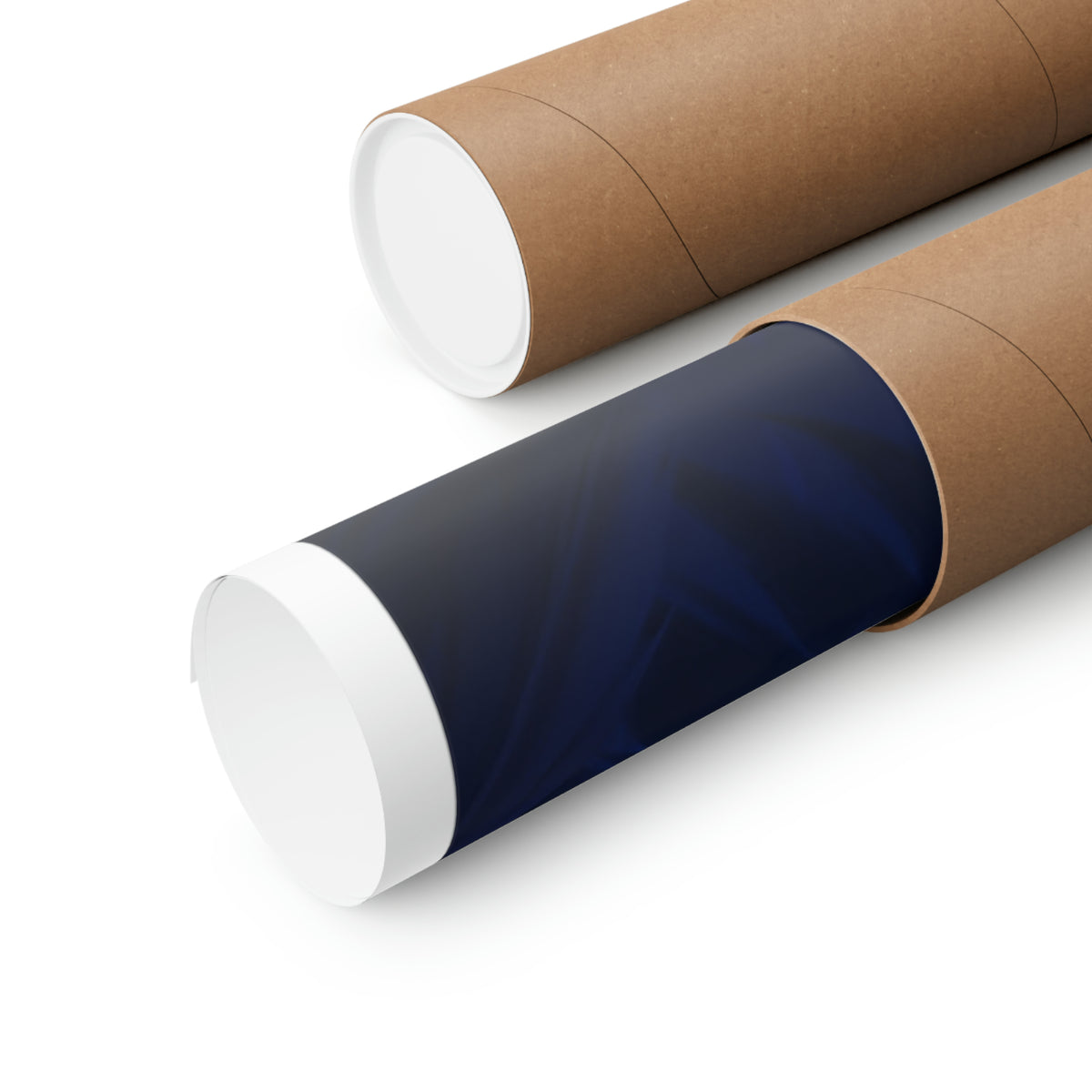 Albedo – Print Zenny